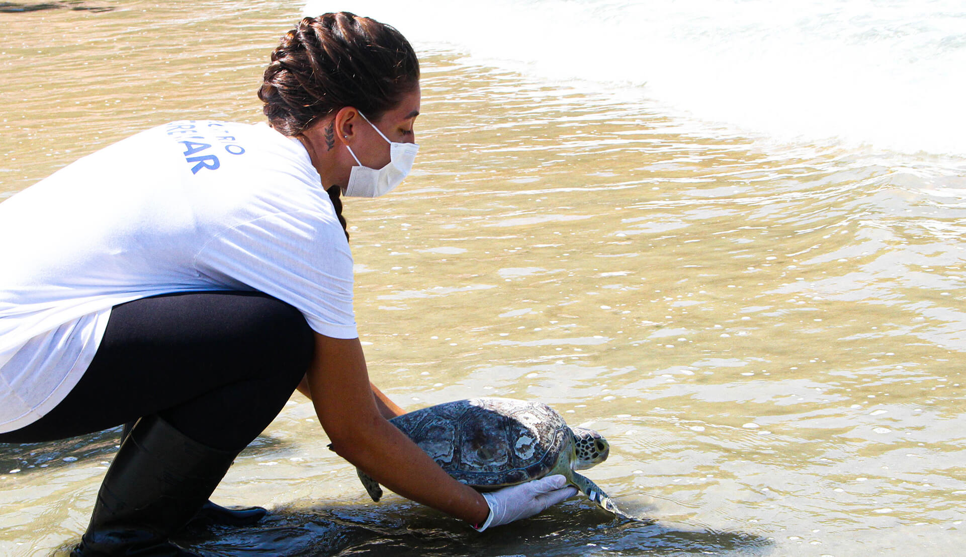Estágio Curricular Obrigatório - Gremar